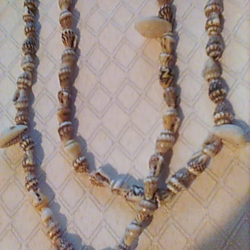 Necklace Sea Shells 18 Inches Long Vintage - Gem